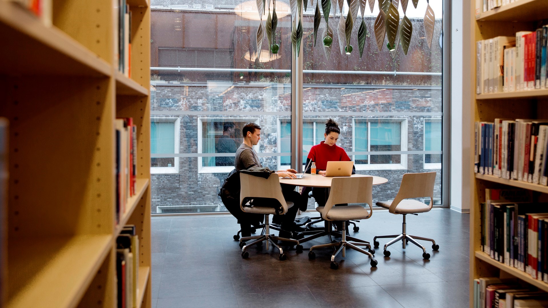 Understanding university studies | Malmö University