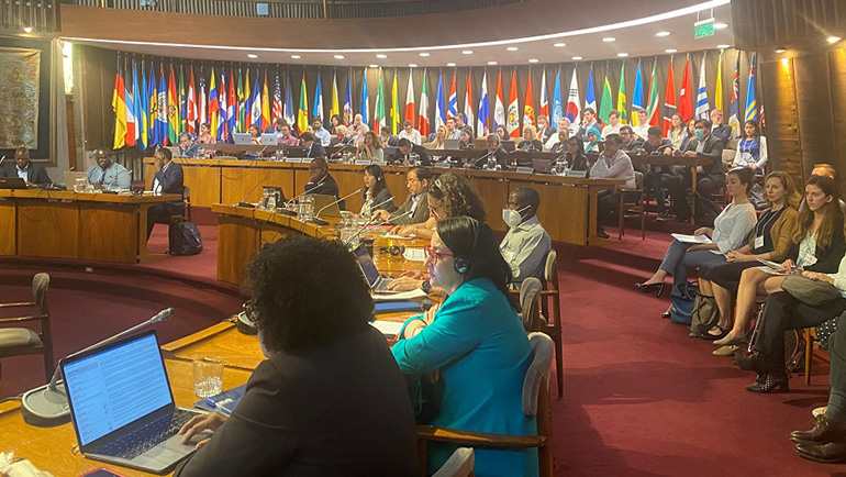 Malmö Institute for Migration Studies (MIM) | Malmö University