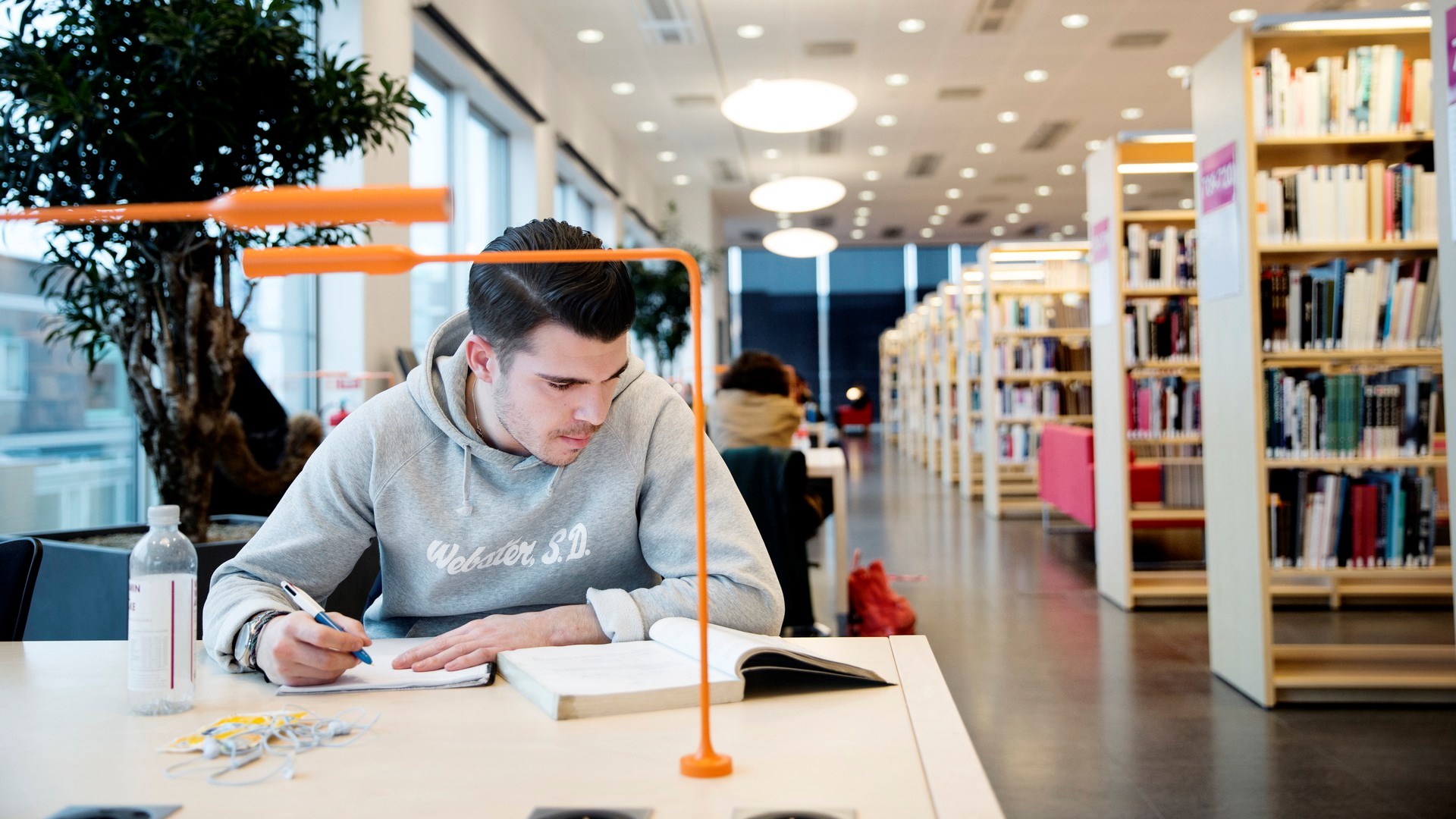 Scholarships | Malmö University