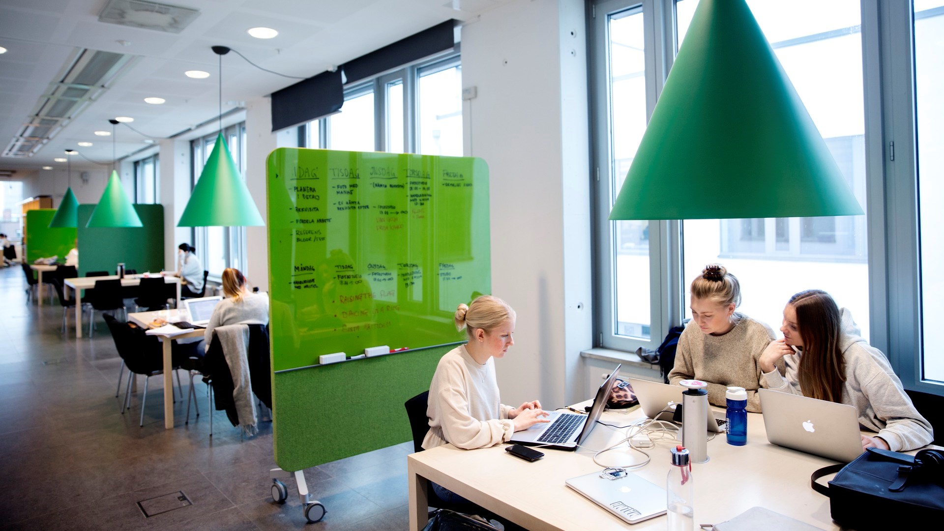 The library as a study environment | Malmö University