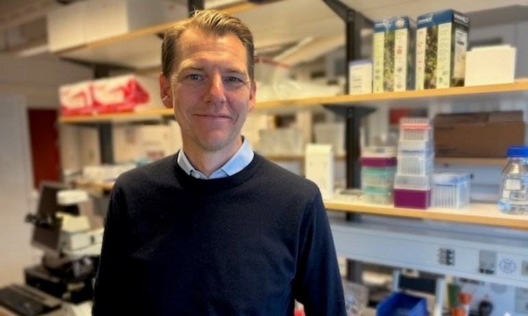 New 3D human-cell model sheds light on brain injuries in preterm ...